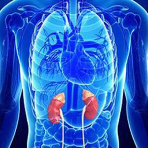 Functional Endocrinology Approach to Health and Wellness